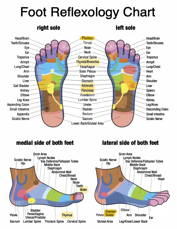 Reflexology right foot store